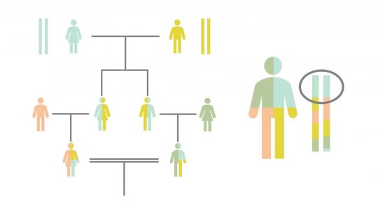 “Human inbreeding has decreased in time through the Holocene” published ...