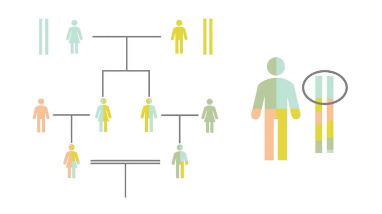 “Human inbreeding has decreased in time through the Holocene” published ...