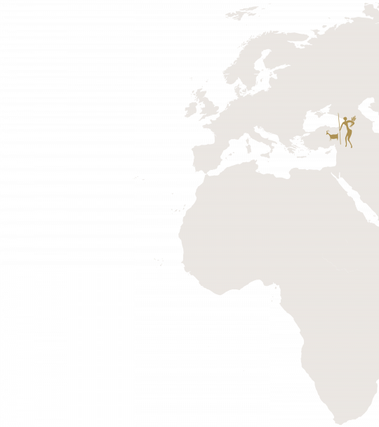 Laboratory Technician position at Hacettepe University HUMAN-G and METU ...